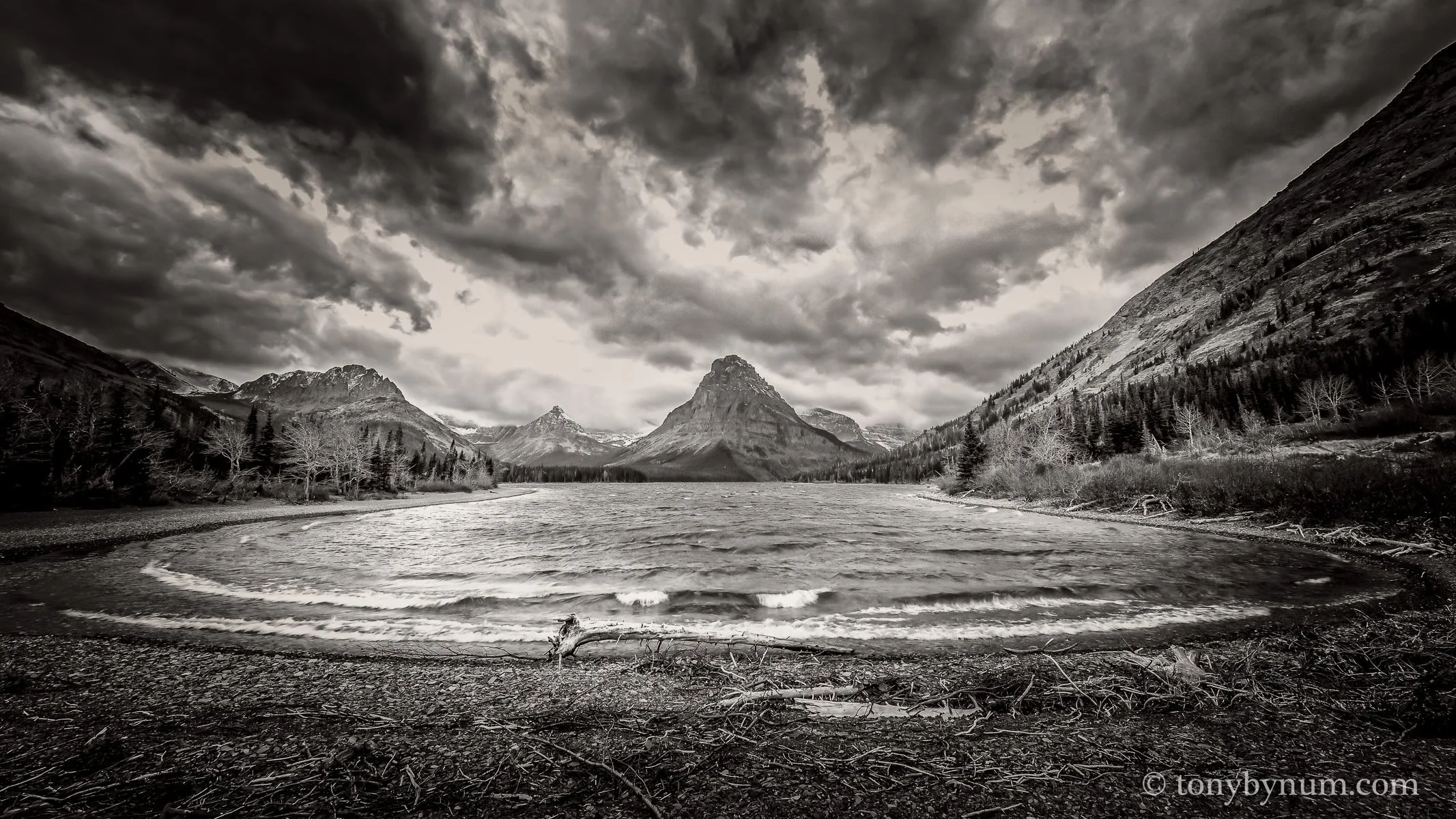 Tony Bynum Photography