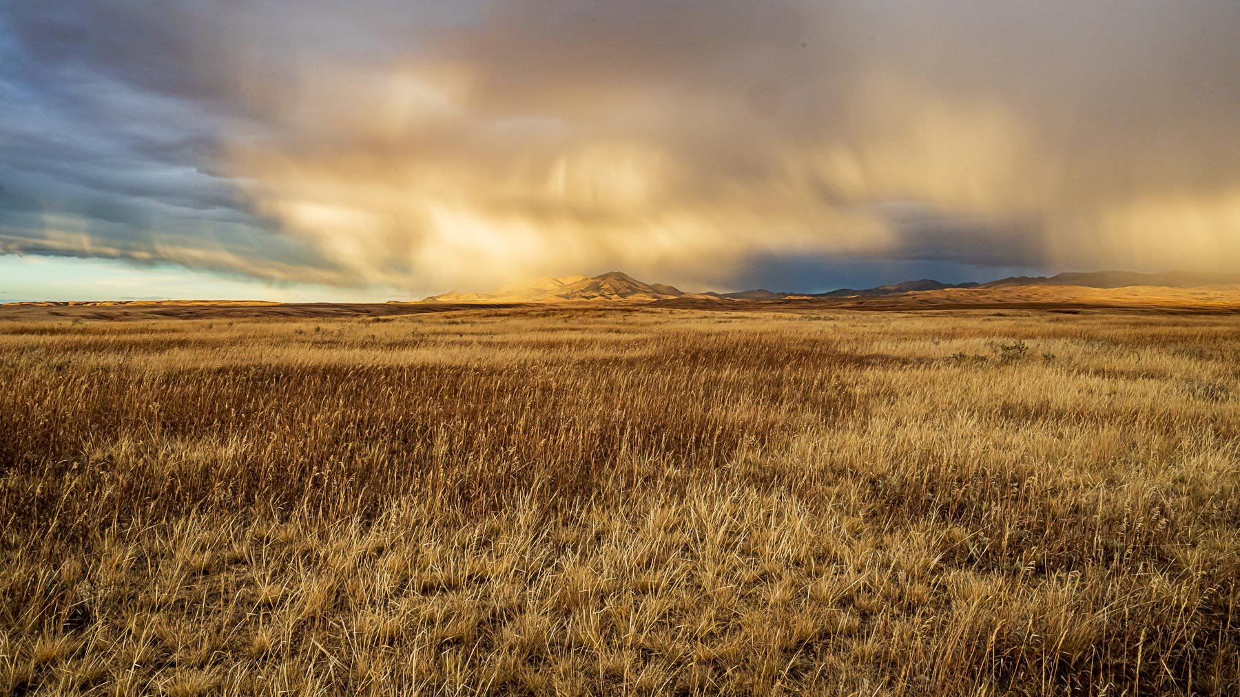 Tony Bynum Photography