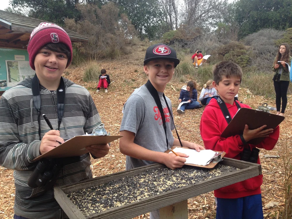 The Bird School Project