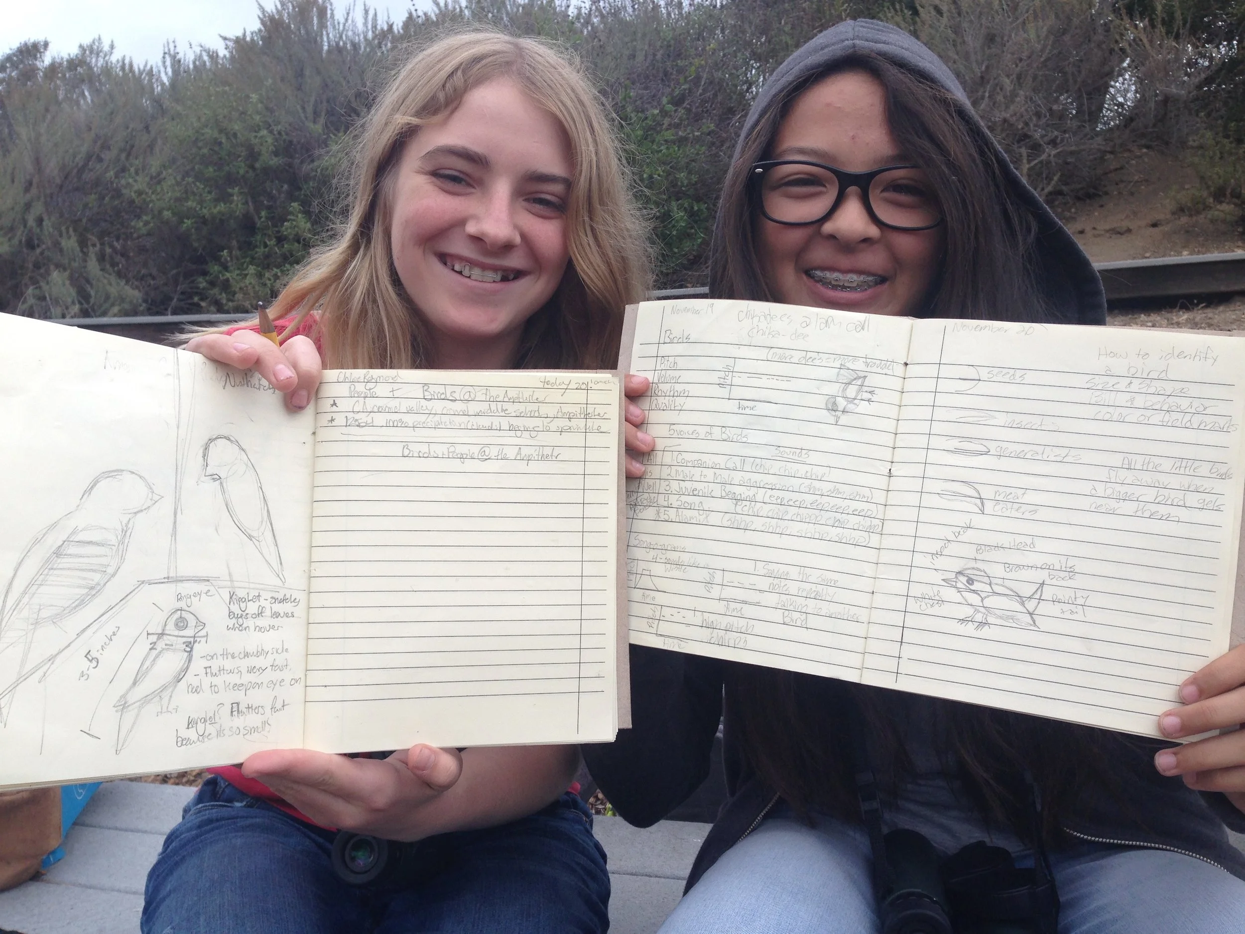 The Bird School Project