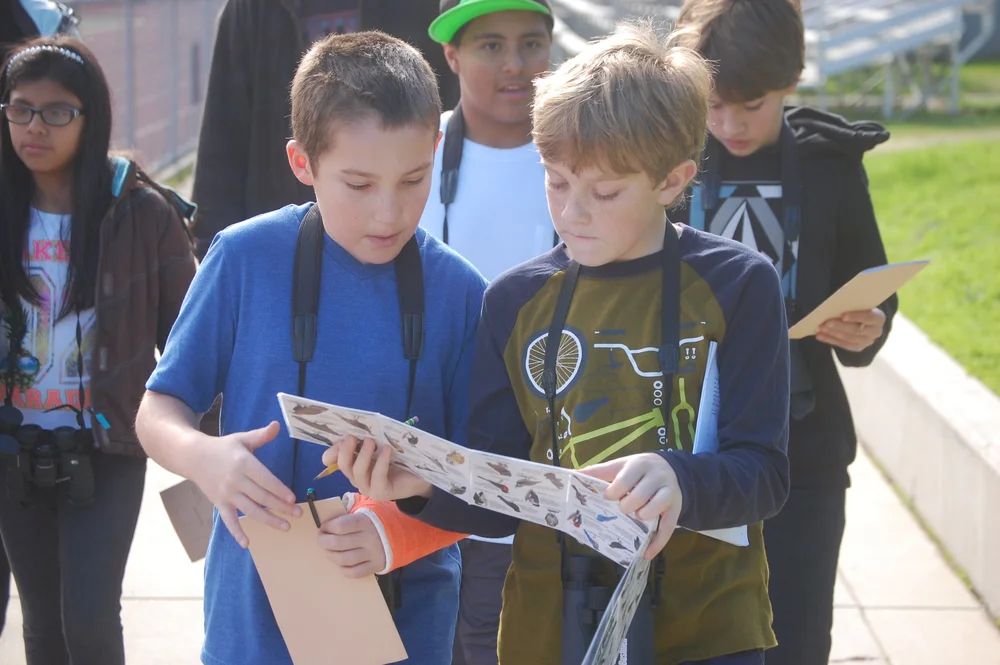 What We Do — The Bird School Project