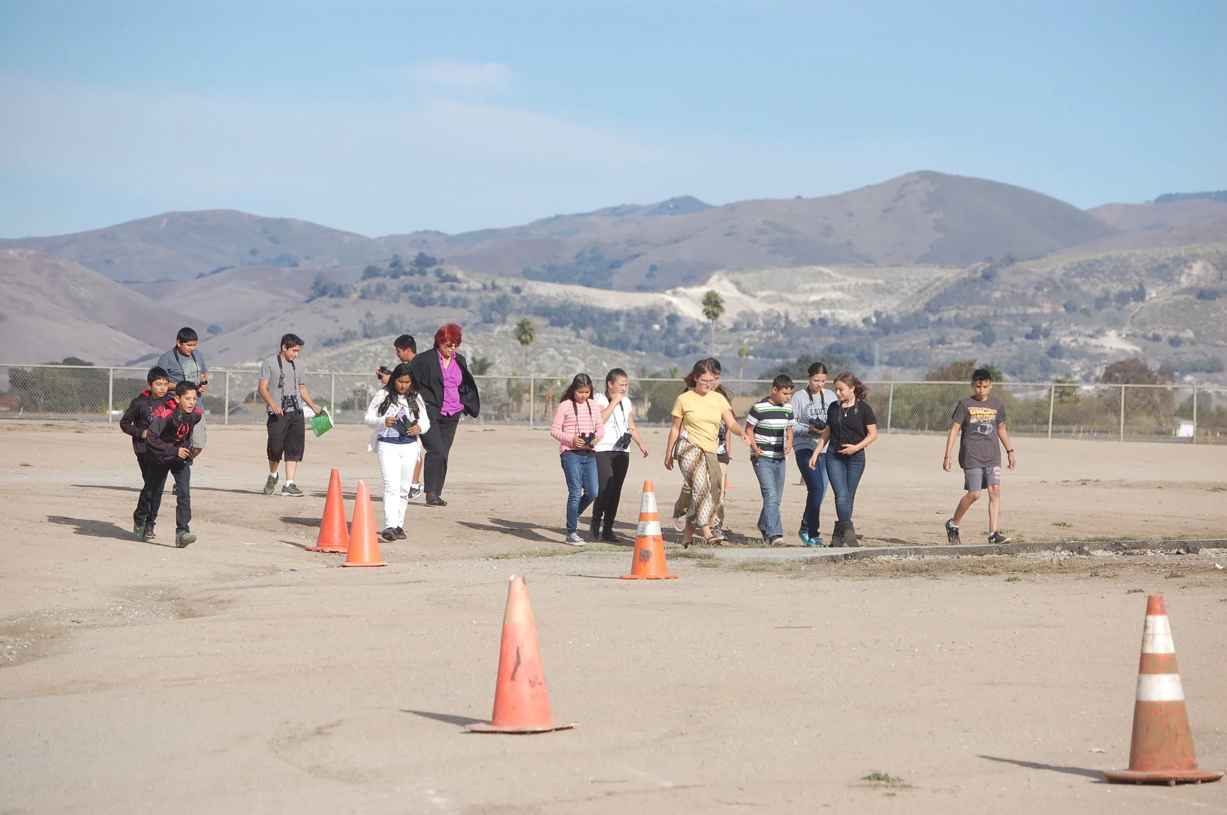 What We Do — The Bird School Project