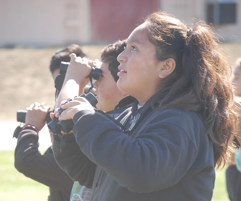 What We Do — The Bird School Project