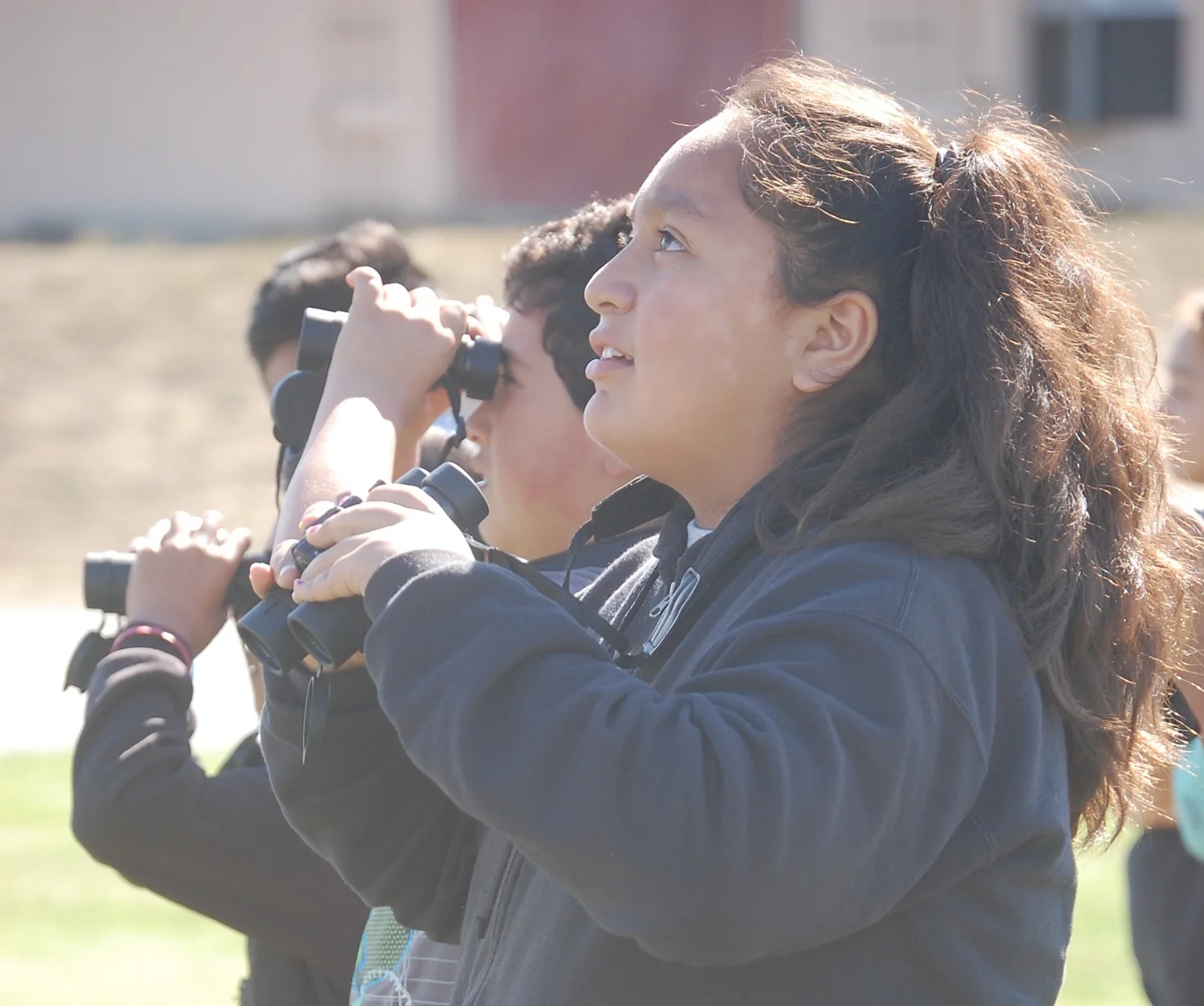 What We Do — The Bird School Project