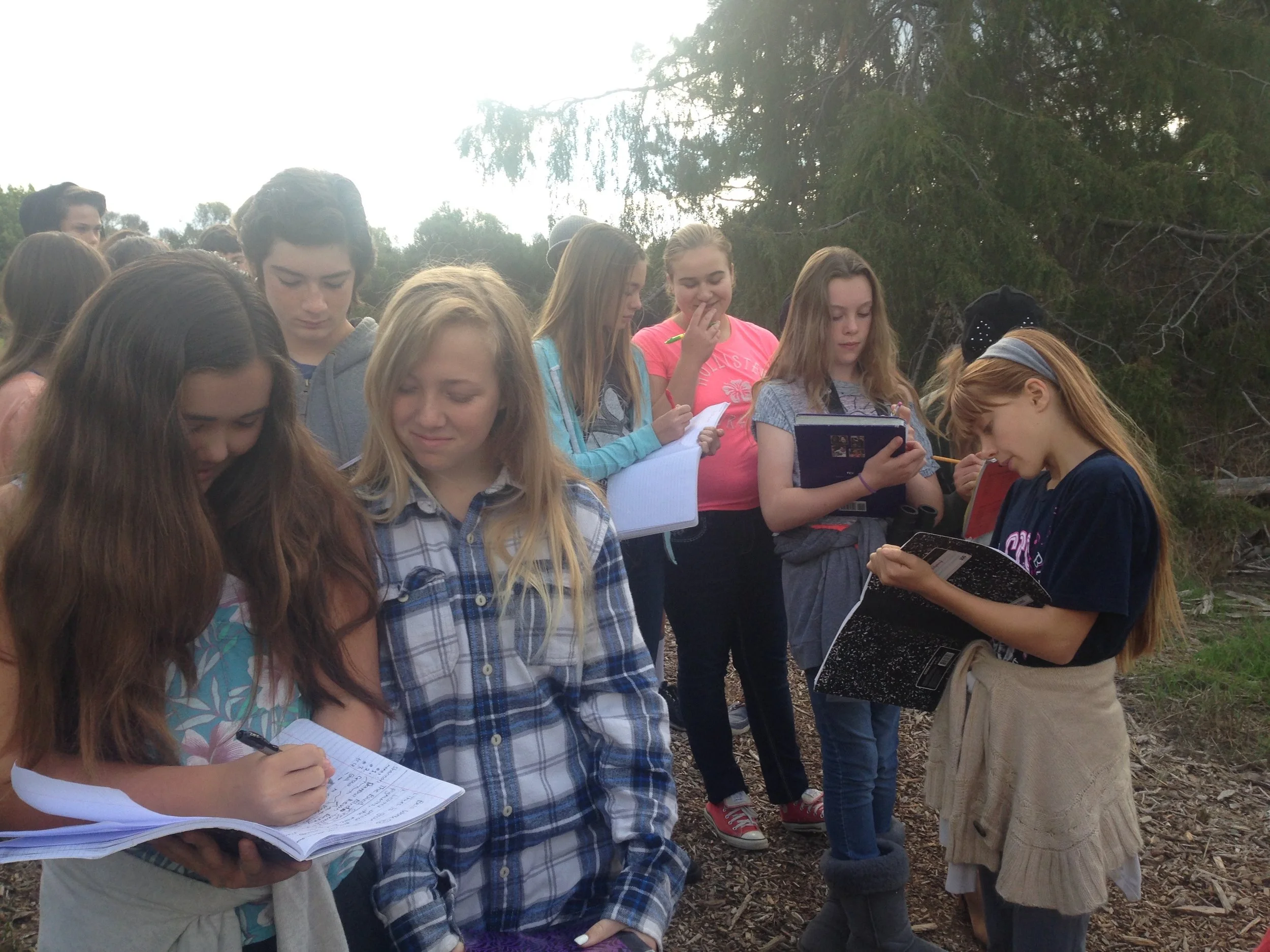 What We Do — The Bird School Project