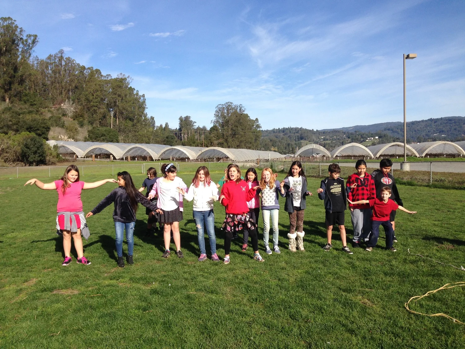 What We Do — The Bird School Project