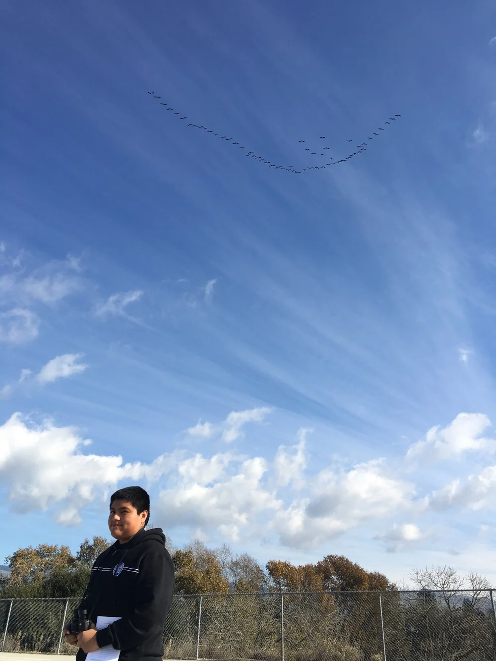 Mission — The Bird School Project