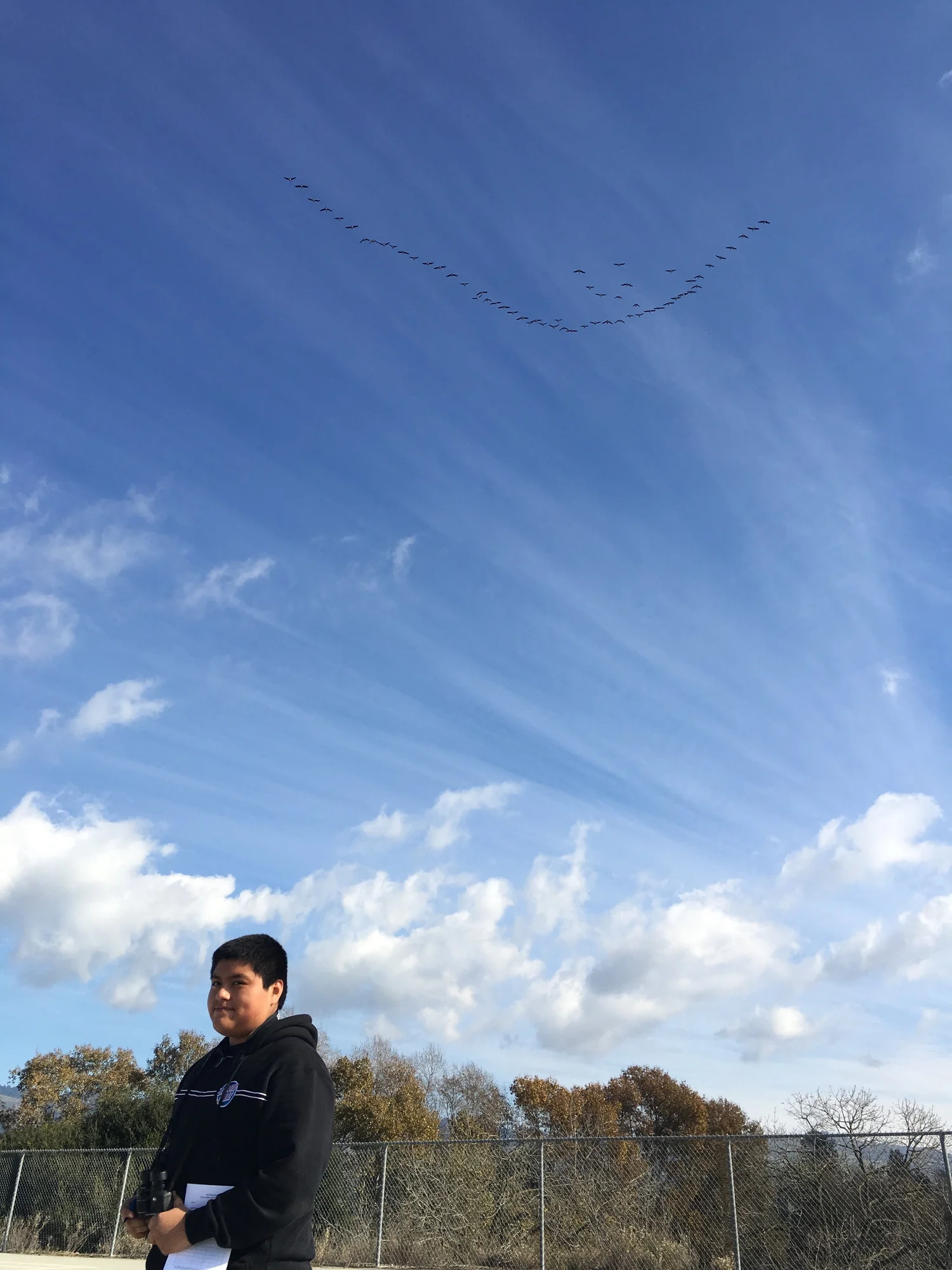 Mission — The Bird School Project