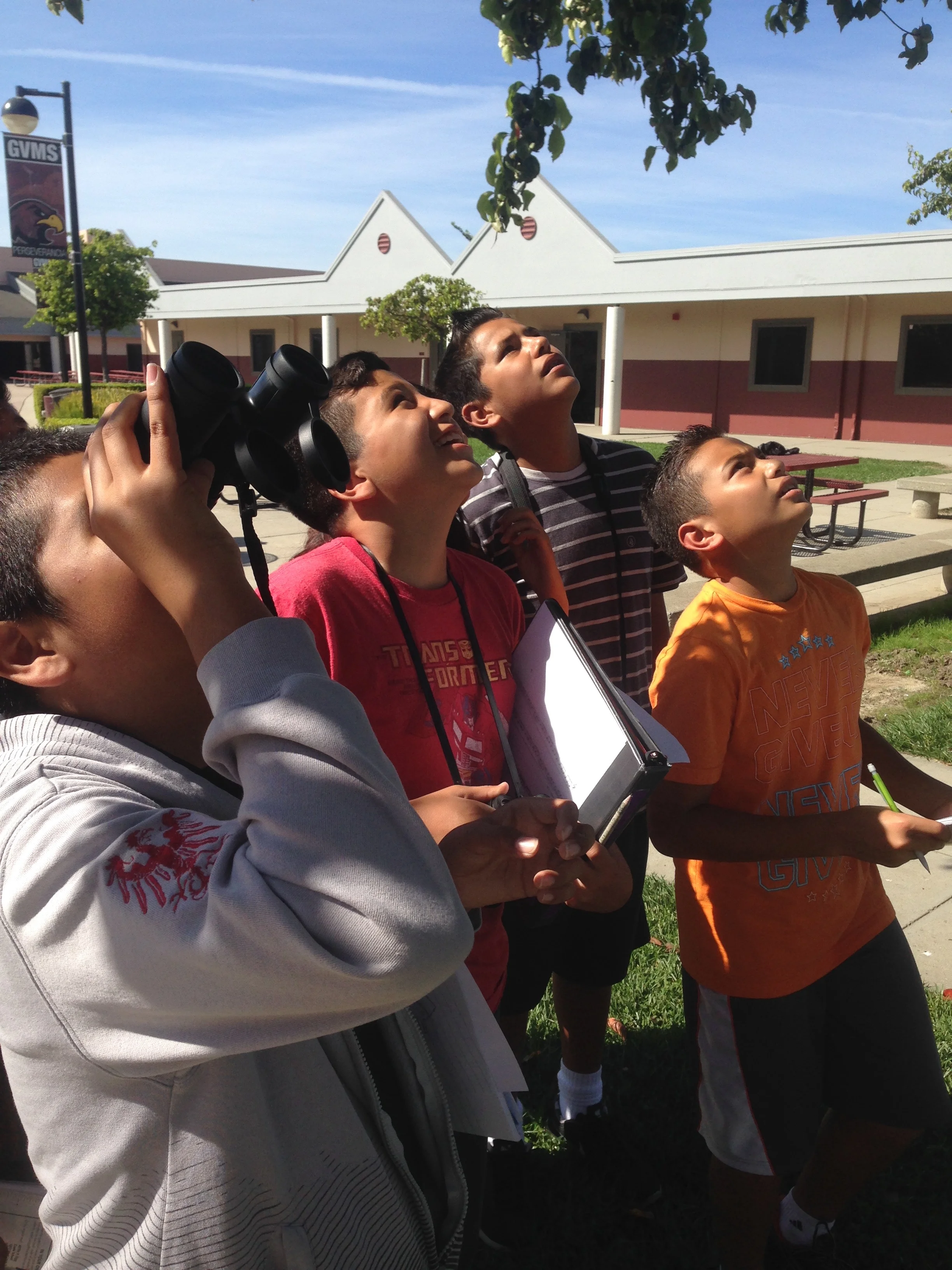 Our Impact — The Bird School Project