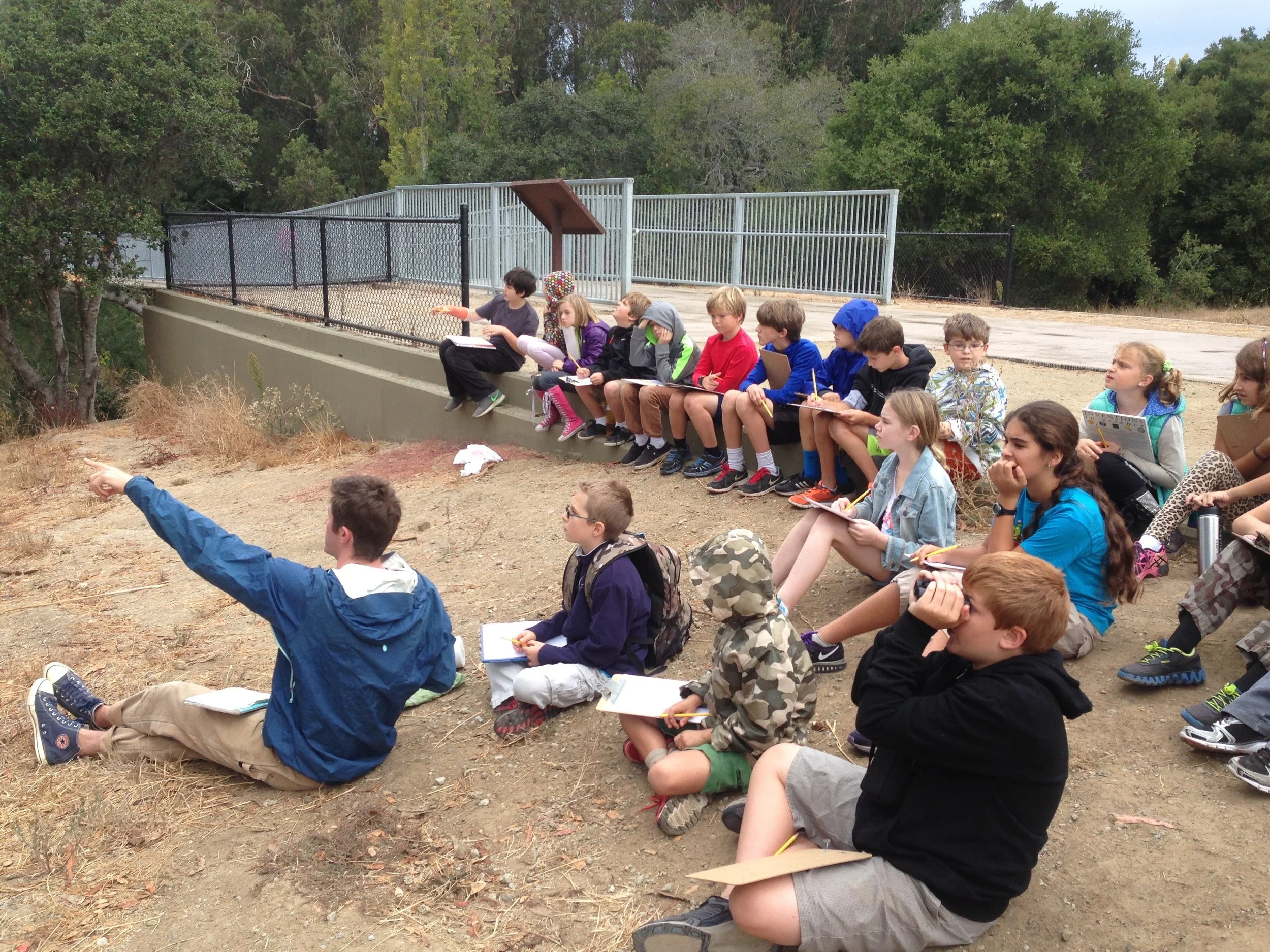 Mission — The Bird School Project