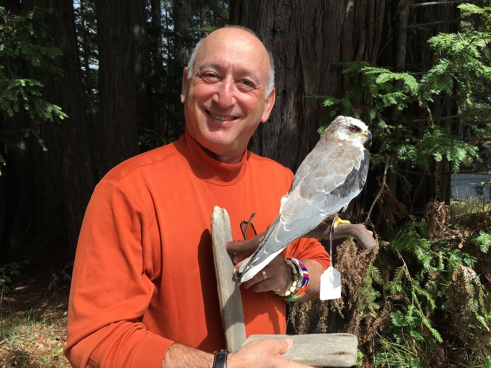 Leadership — The Bird School Project