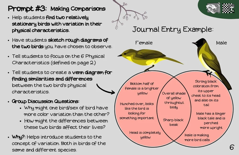 Journaling Activities for Birders — The Bird School Project
