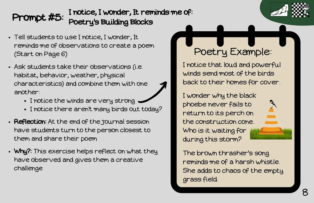 Journaling Activities for Birders — The Bird School Project