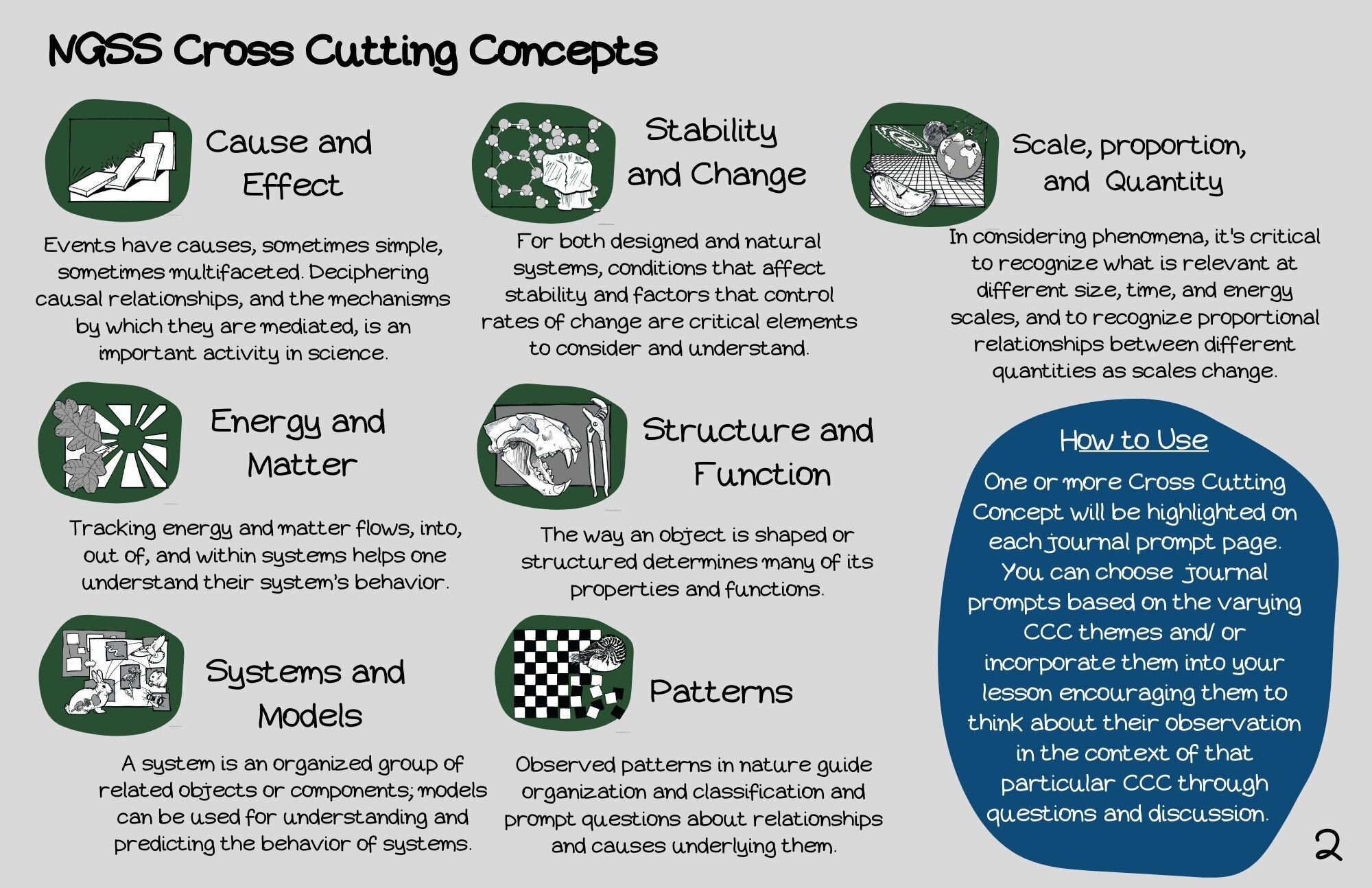 Journaling Activities for Birders — The Bird School Project