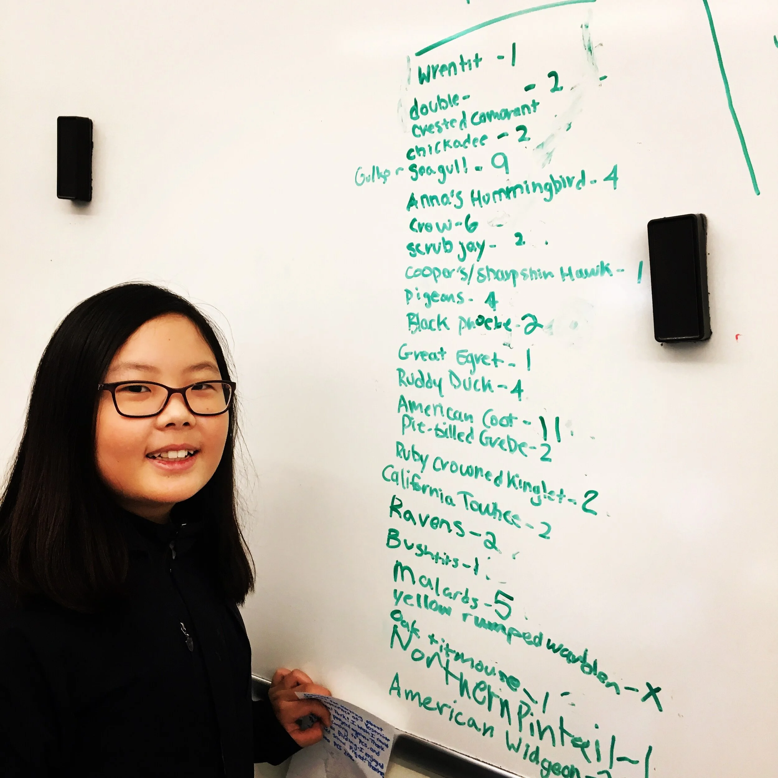 Programs — The Bird School Project