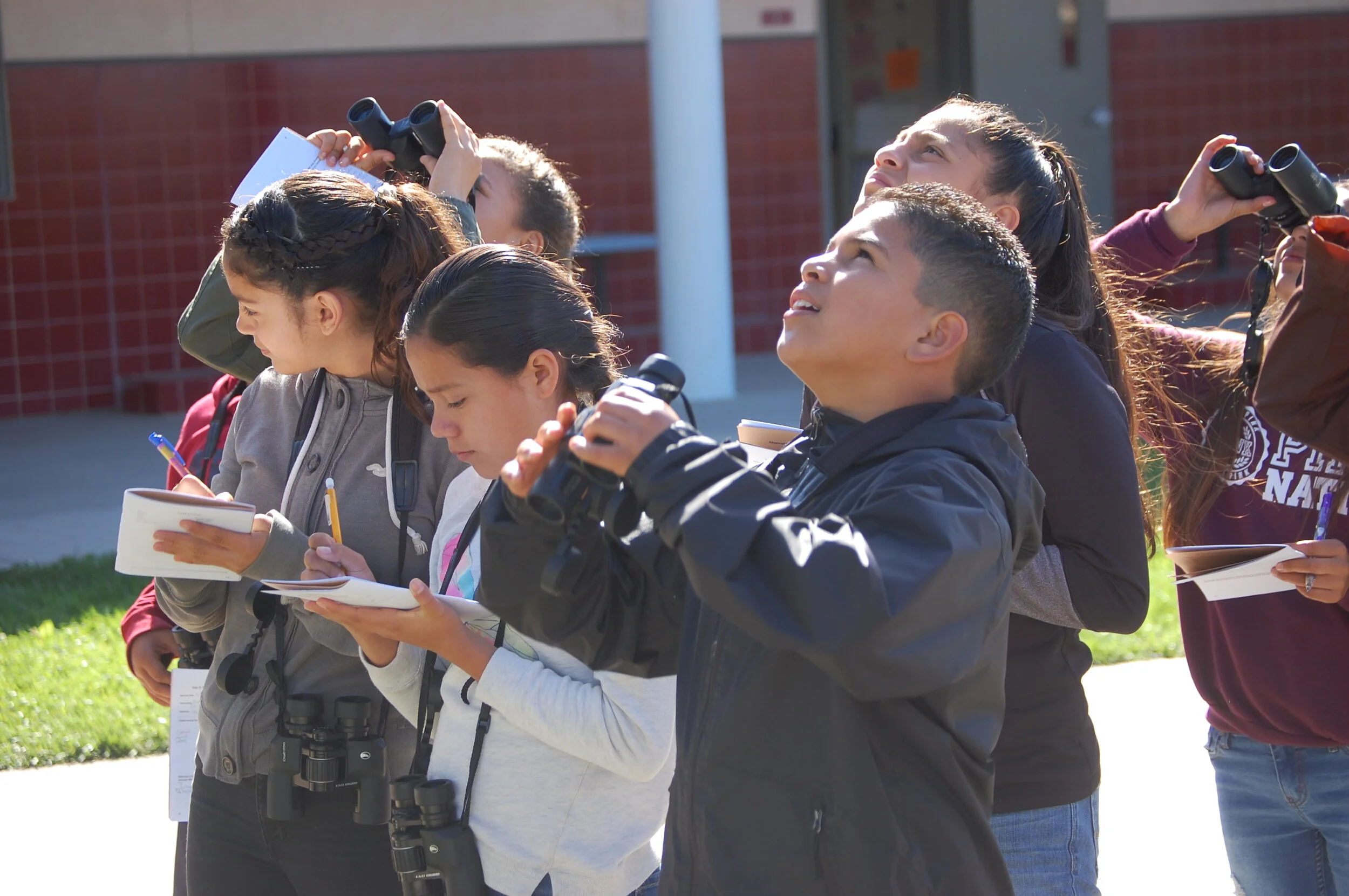 Programs — The Bird School Project