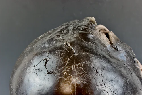 iwa — carole neilson ceramics