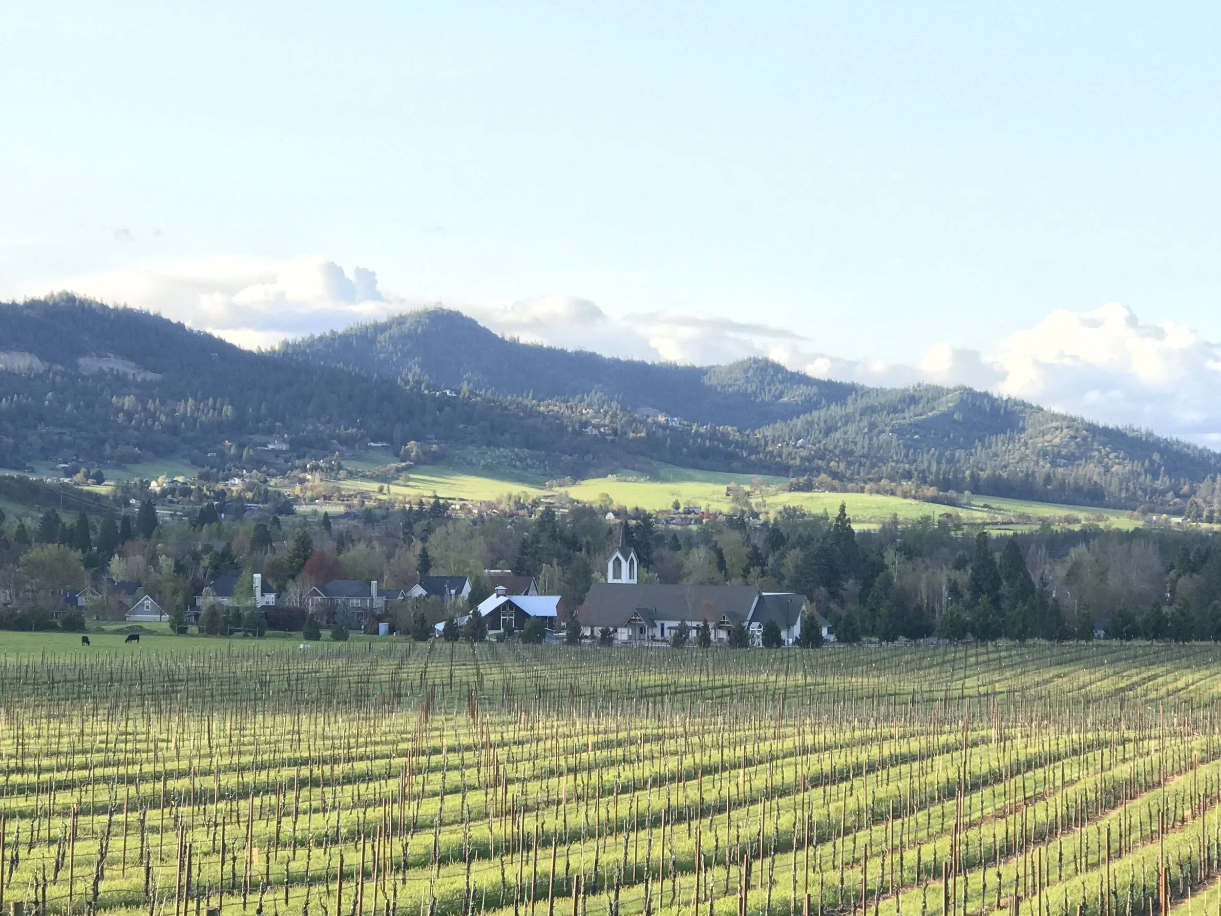 Thoughts — Tambo Art LLC