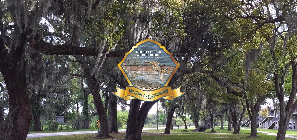 Rockefeller Wildlife Refuge — Louisiana Wildlife and Fisheries Foundation