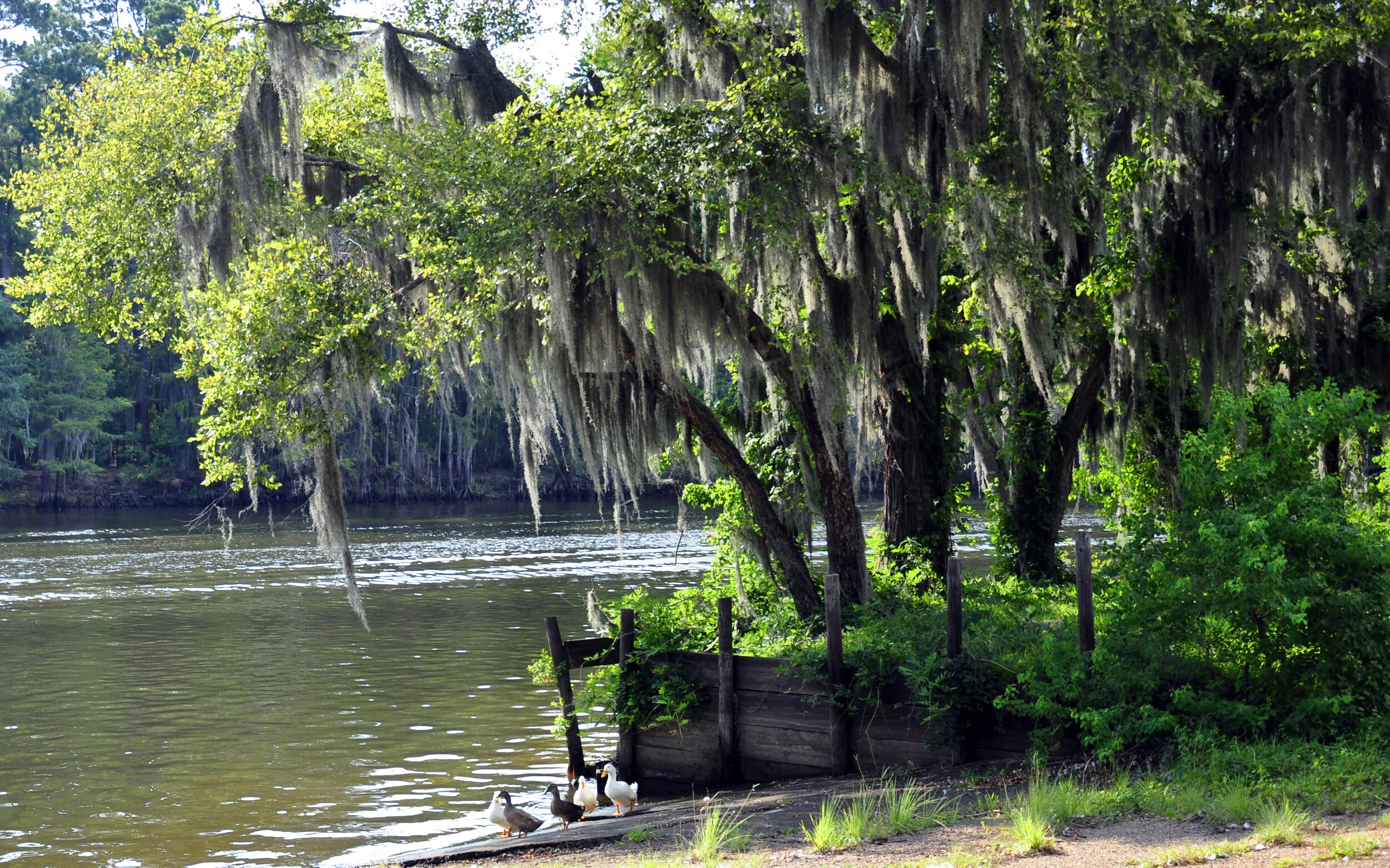 Louisiana Wildlife and Fisheries Foundation