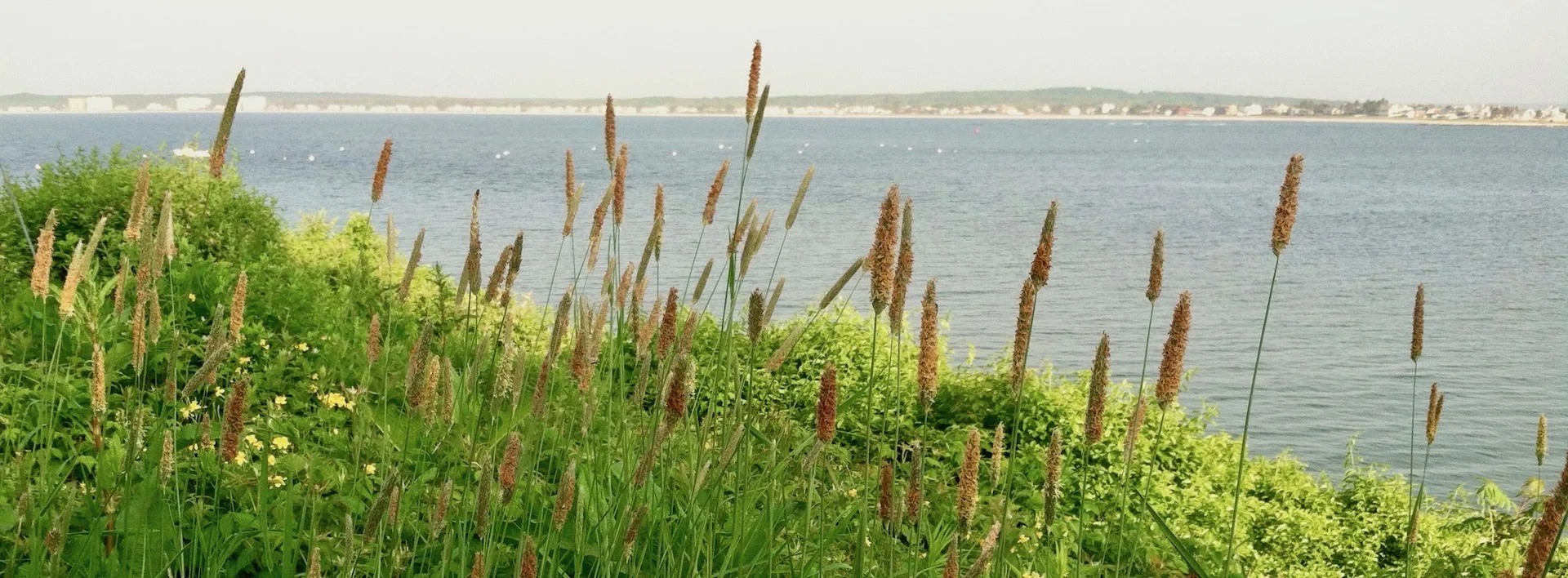 Explanation Of Part Year And Non Residents Tax Filing Requirement In Maine explanation-of-part-year-and-non-residents-tax-filing-requirement-in-maine