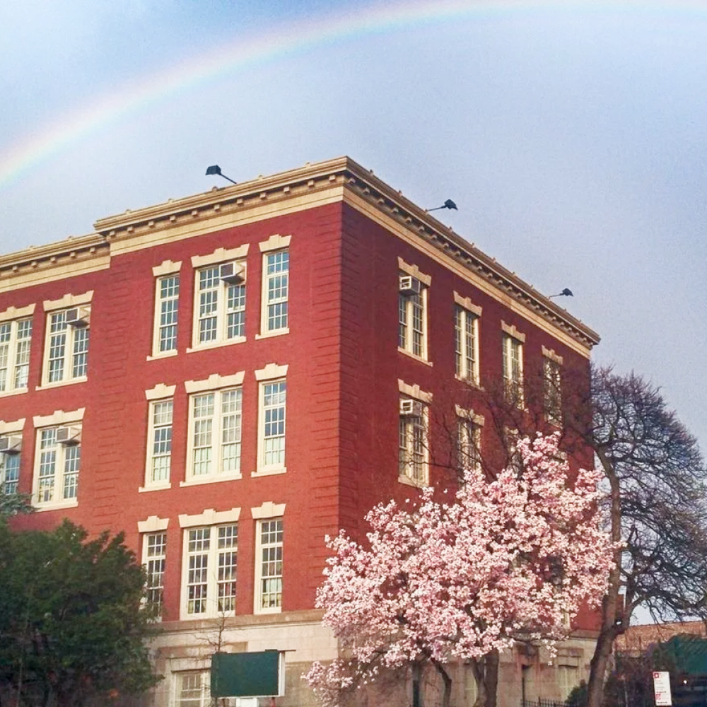 PS 154