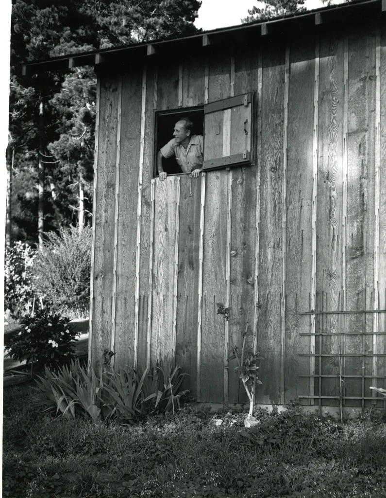 Edward Weston - A Photographer's Love of Life: An Essay by Alex Nyerges ...