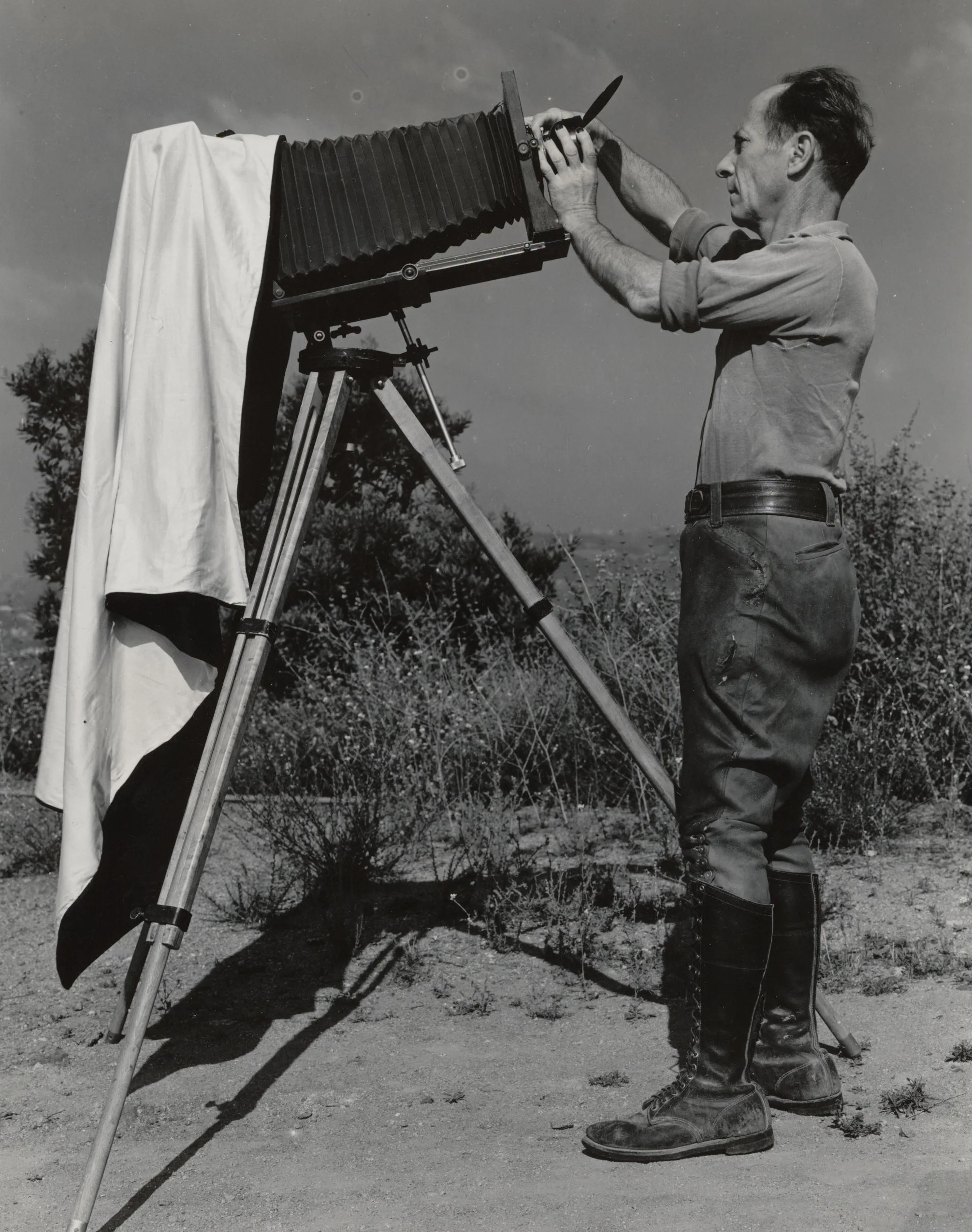Edward Weston - A Photographer's Love of Life: An Essay by Alex Nyerges ...