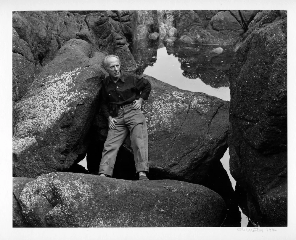 Edward Weston - A Photographer's Love of Life: An Essay by Alex Nyerges ...
