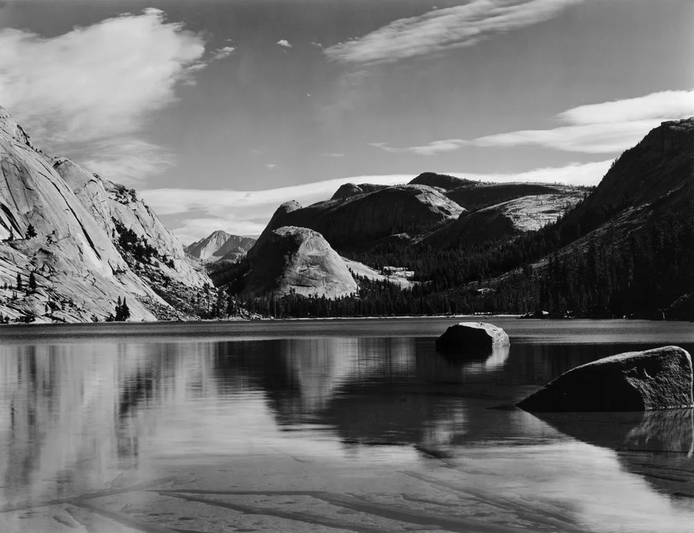 Edward Weston - A Photographer's Love of Life: An Essay by Alex Nyerges ...