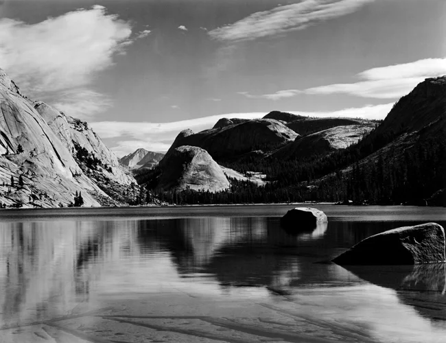 Edward Weston Photographs Printed by Cole Weston — Weston Photography ...