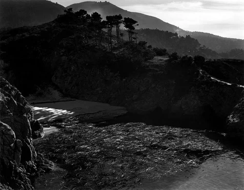 Photographer Edward Weston — Weston Photography: Four Generations of ...