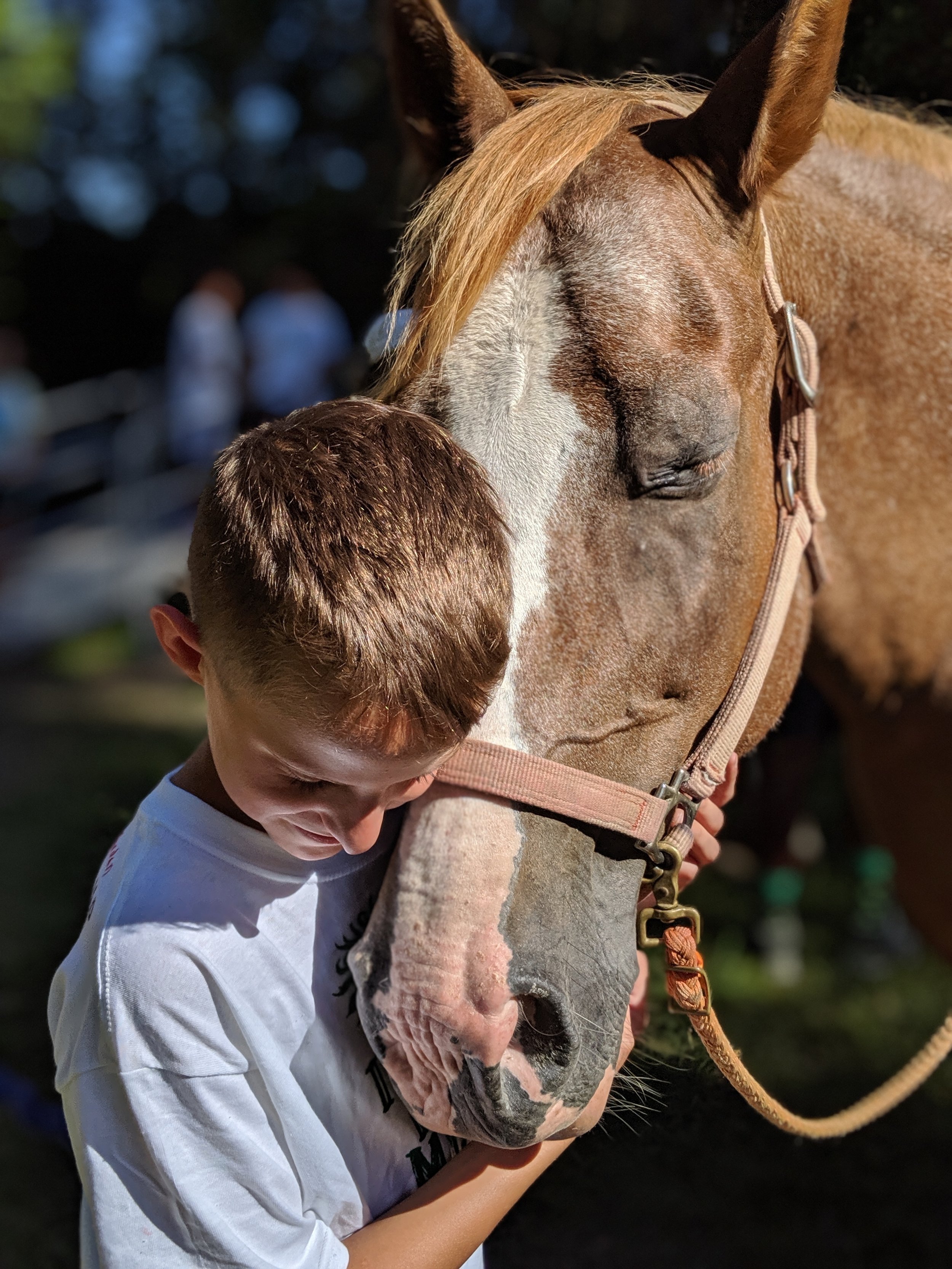 OWL Equine Center