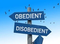 5 Levels of Obedience Tool — Justin G. Gravitt