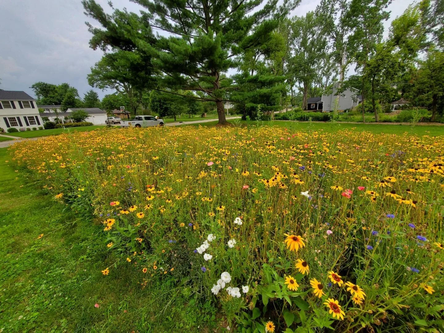 News Feed — Sustainable Landscape Solutions