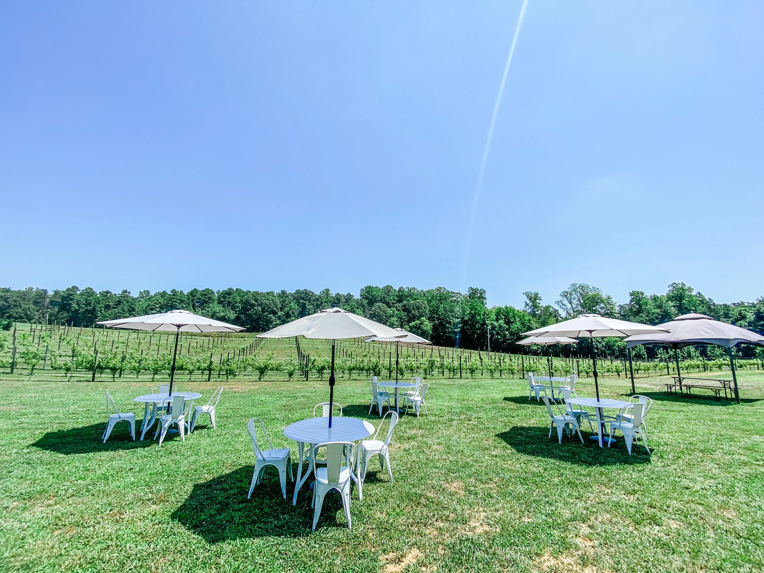 Xella Winery and Vineyard