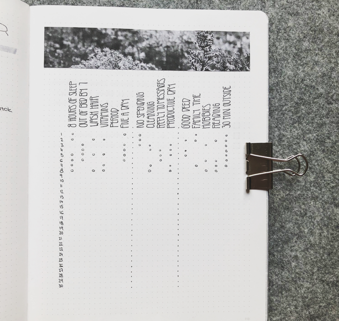 17 Minimalist Bullet Journal Ideas — Sweet PlanIt