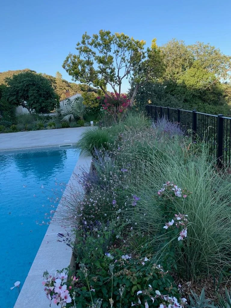 Mediterranean landscape garden design Languedoc & Provence — English ...