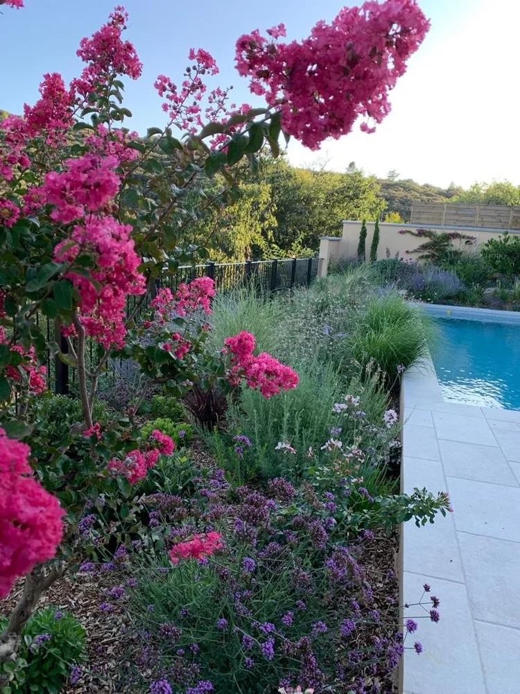 Mediterranean landscape garden design Languedoc & Provence — English ...