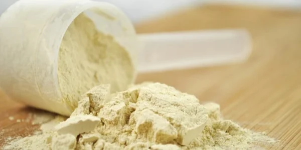What is Casein — GYMCADDY