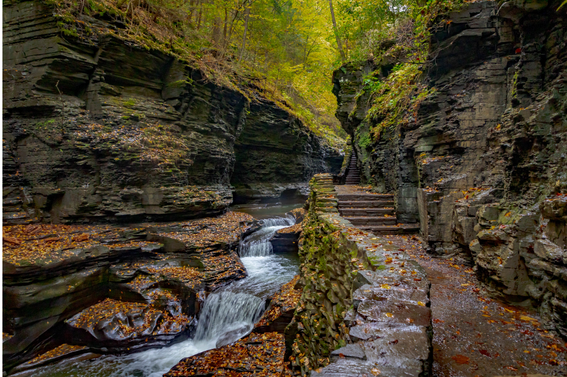 Featured Artists — Art in the Barn Barrington