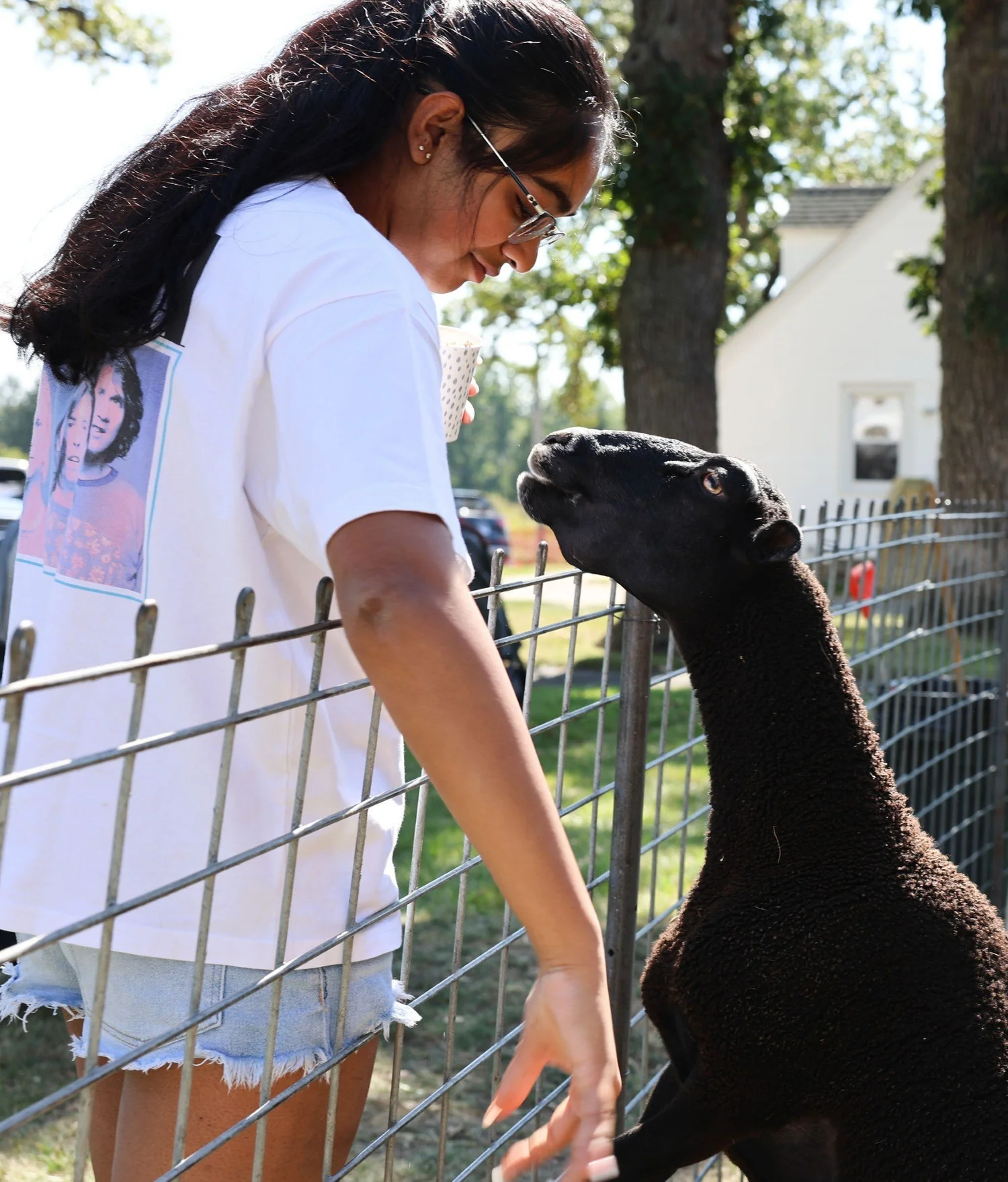 Art in the Barn Barrington