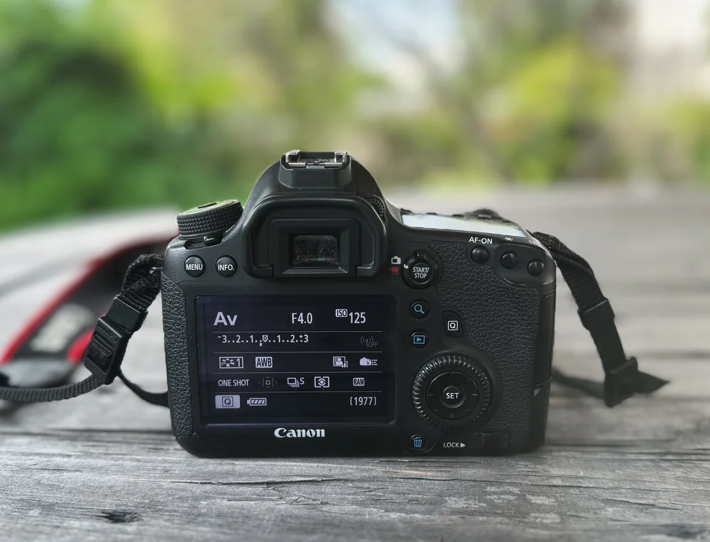 Canon 6D Review by a Professional Photographer | The Best Budget Full ...