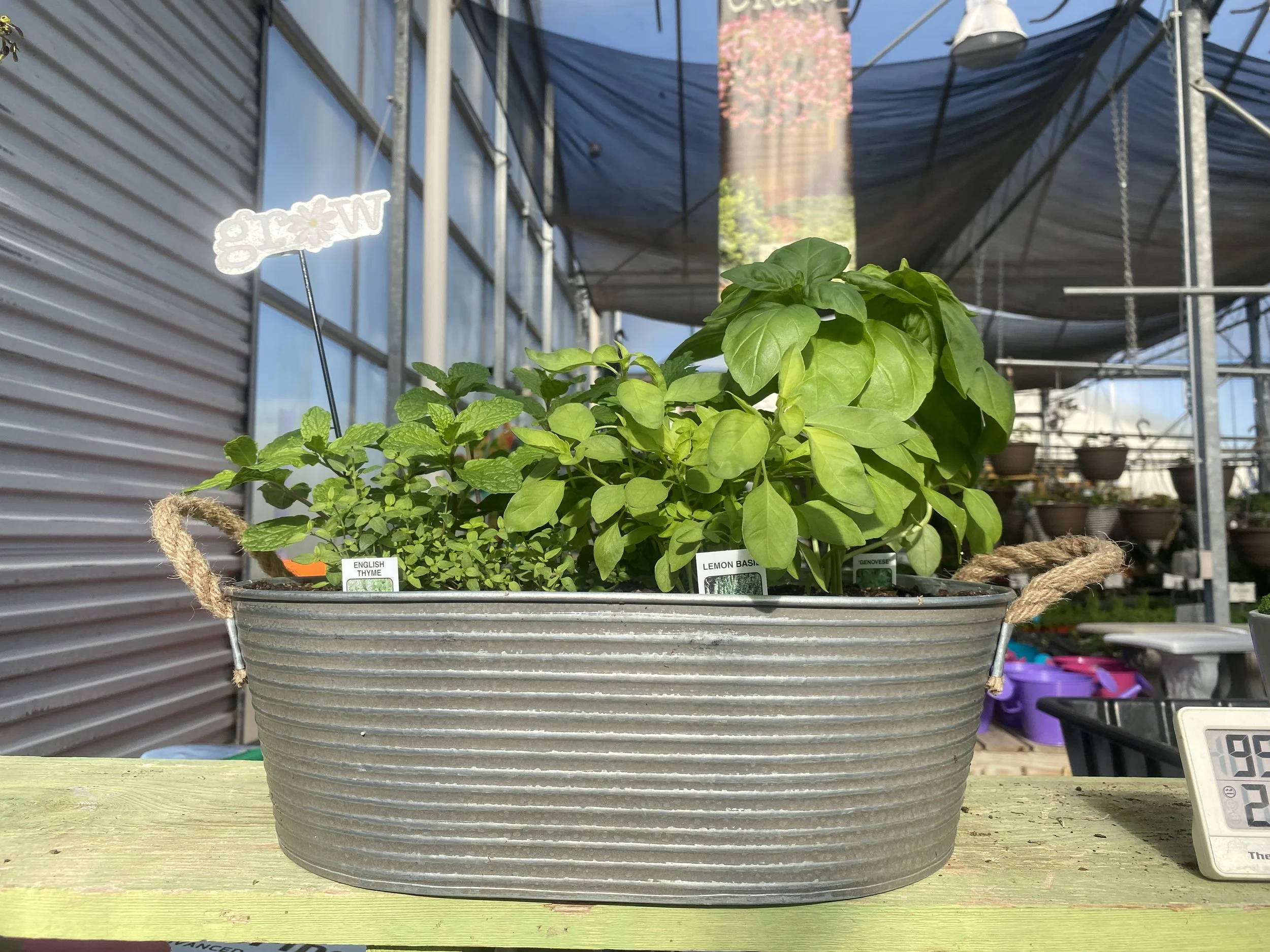 Manitowoc Events — Ivy Trails Gift & Garden