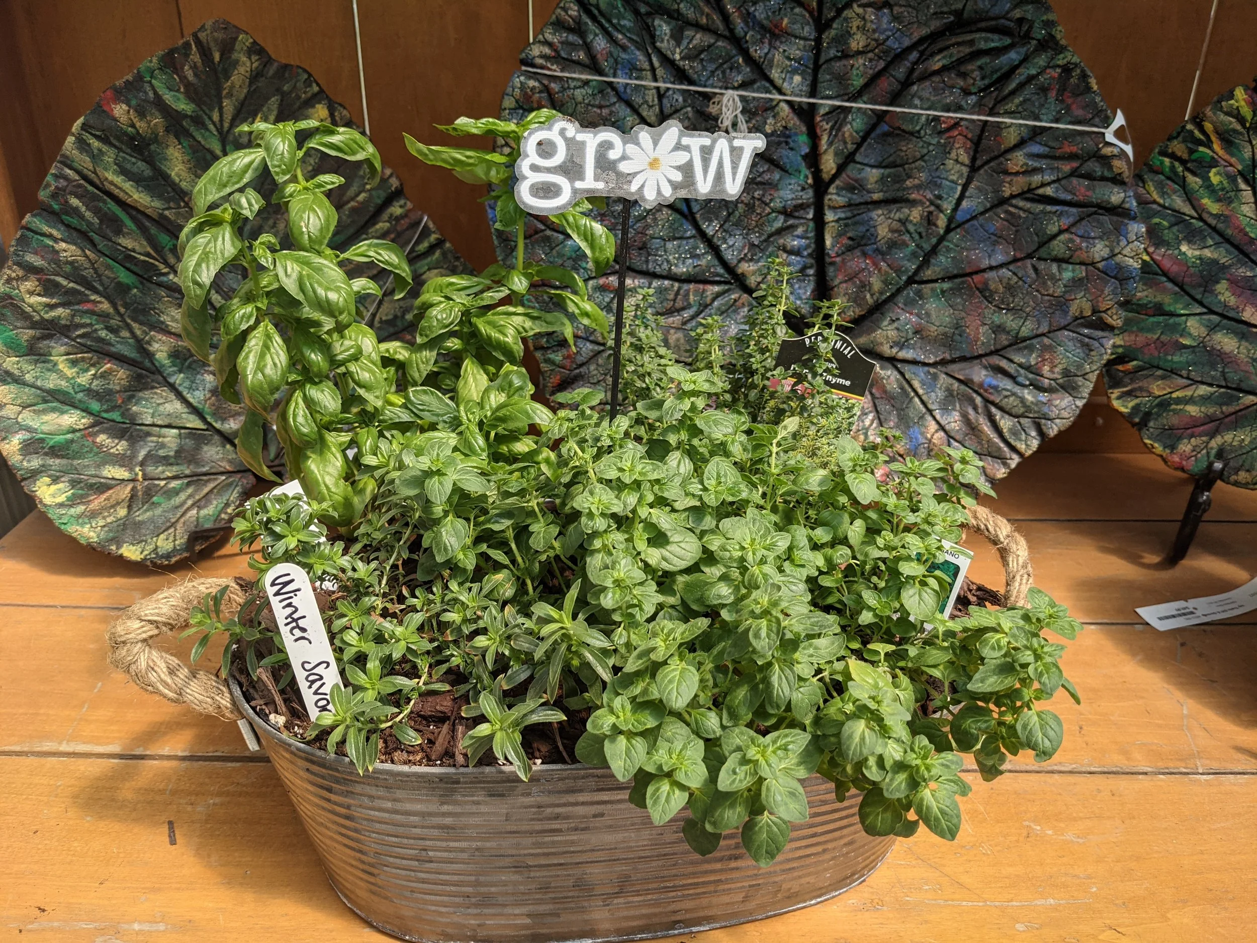 Manitowoc Events — Ivy Trails Gift & Garden