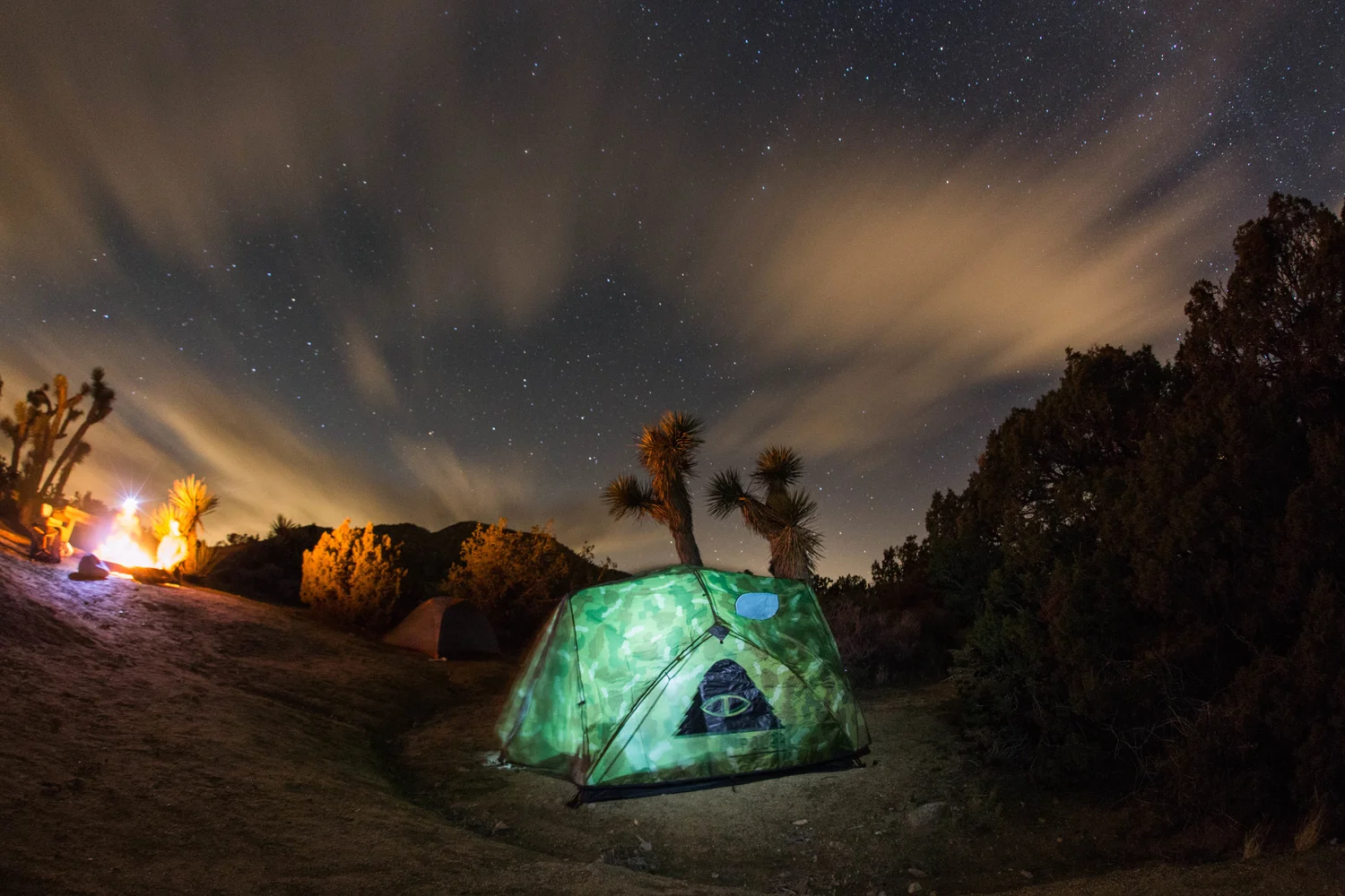 Gallery — Phil Torres