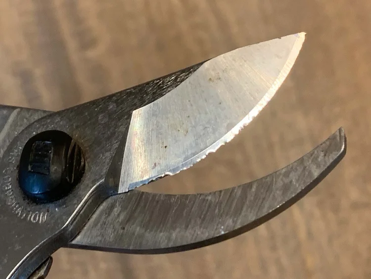 The Best Flower Clippers That We Use Every Day. — Walden Floral