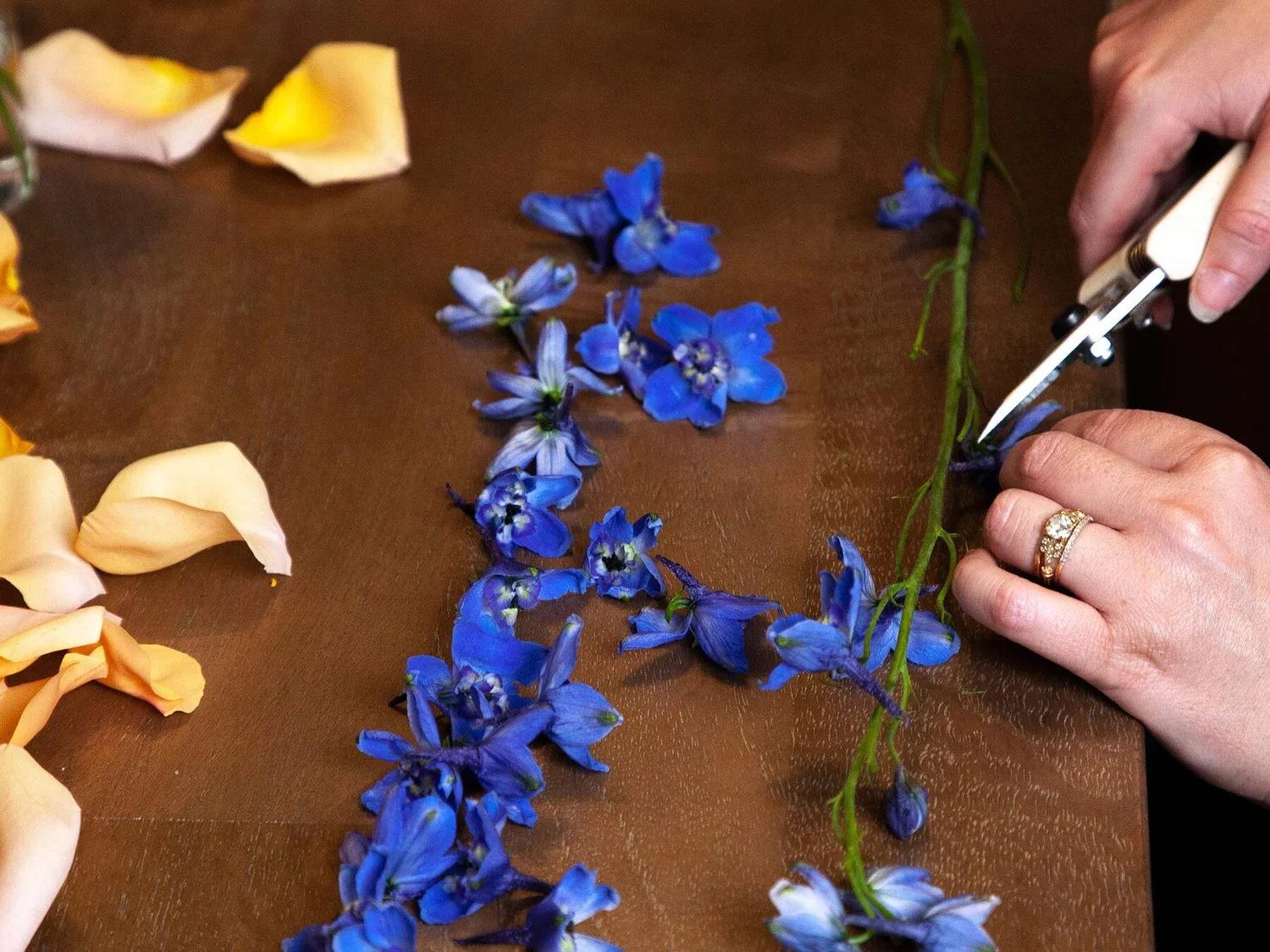 A Step-By-Step Guide to Bud Vase Flower Arrangement — Walden Floral