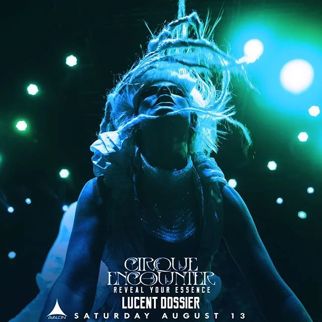 Media — Lucent Dossier Experience