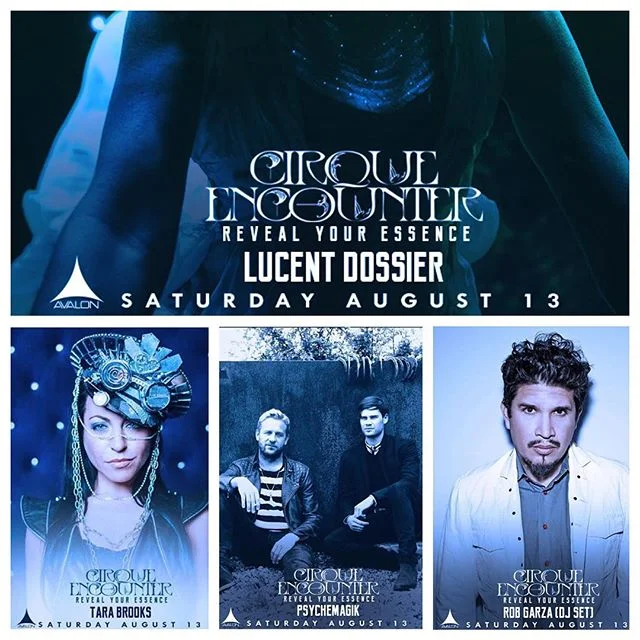 Media — Lucent Dossier Experience